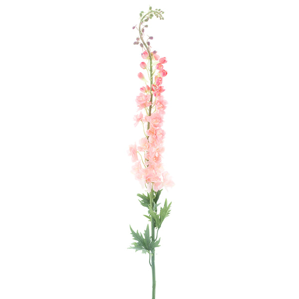 Giant delphinium linus pink 137cm - Tekk
