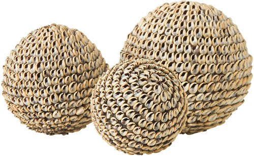 Beach shell ball - Tekk